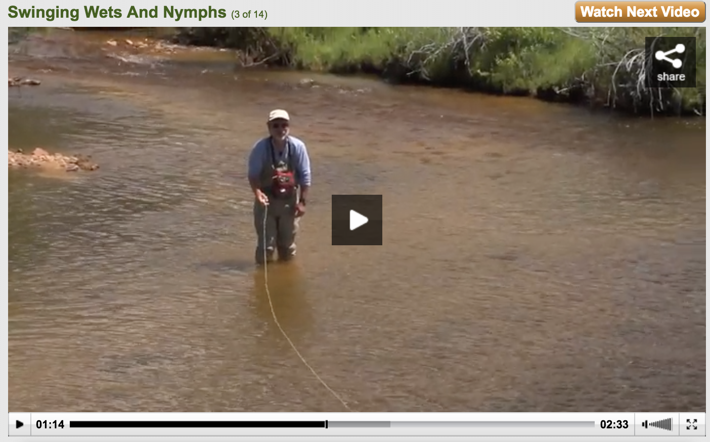 7 Easy Wet Fly Fishing Tips - A Perfect Technique for the Beginner ...