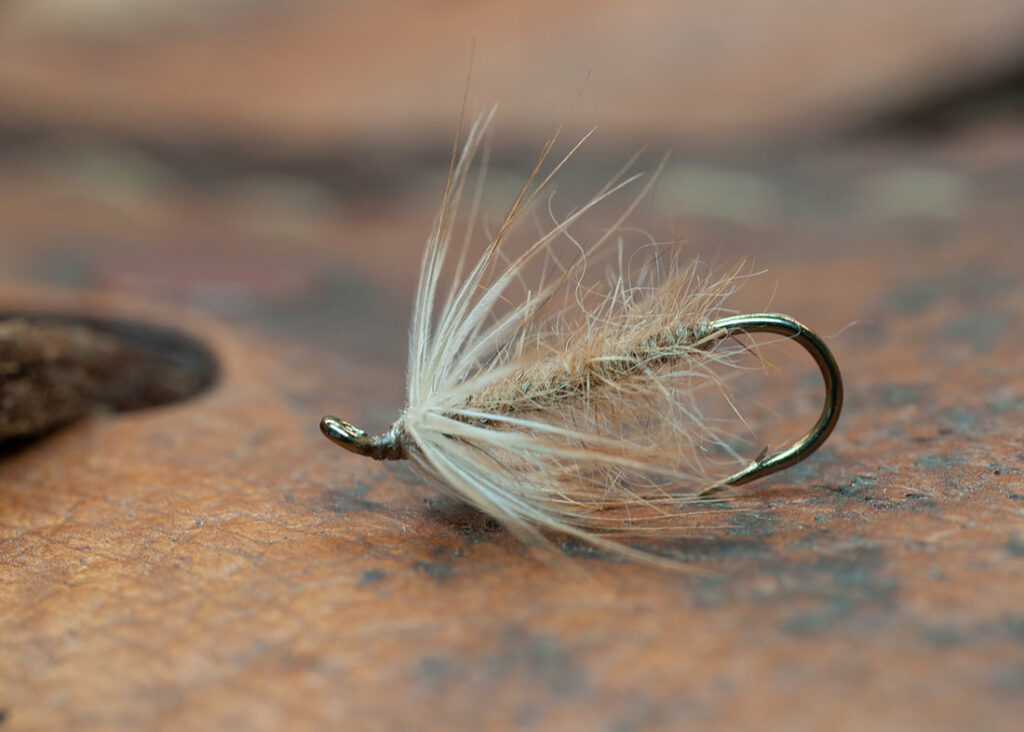 WFS 382 - Must-Do Fly Fishing Trips with Brian O'Keefe + Cellphone ...
