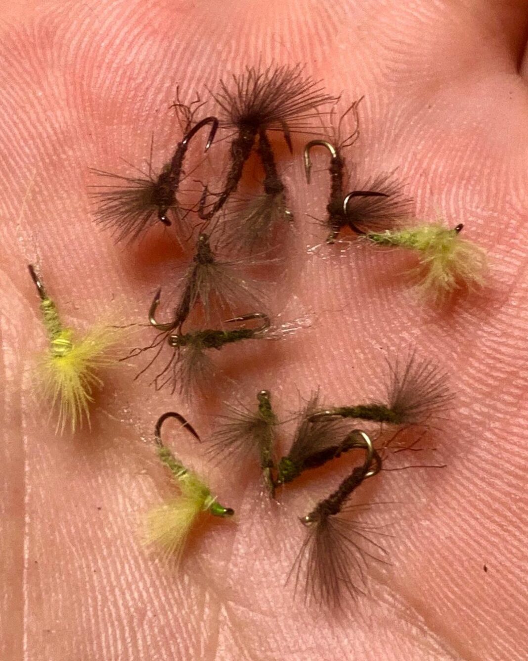 WFS 424 - Euro Nymphing with the French Fly Fisherman - Farmington ...