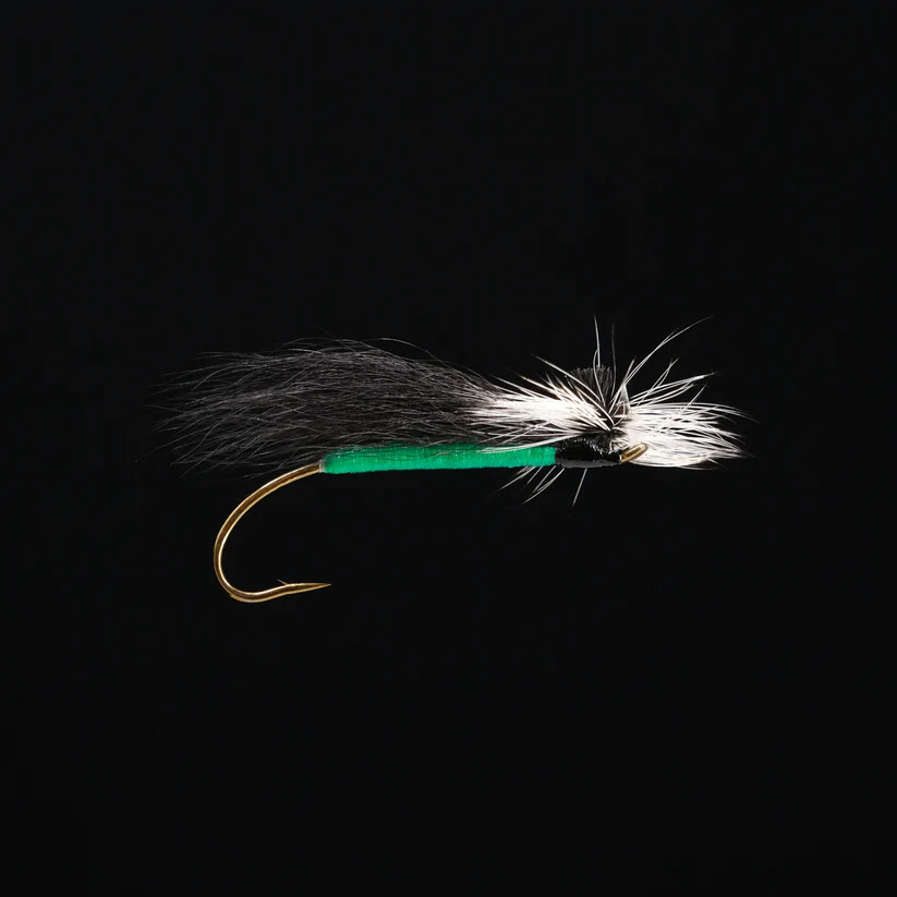 585 | David Bishop's Masterclass on Gaspe Peninsula Atlantic Salmon ...