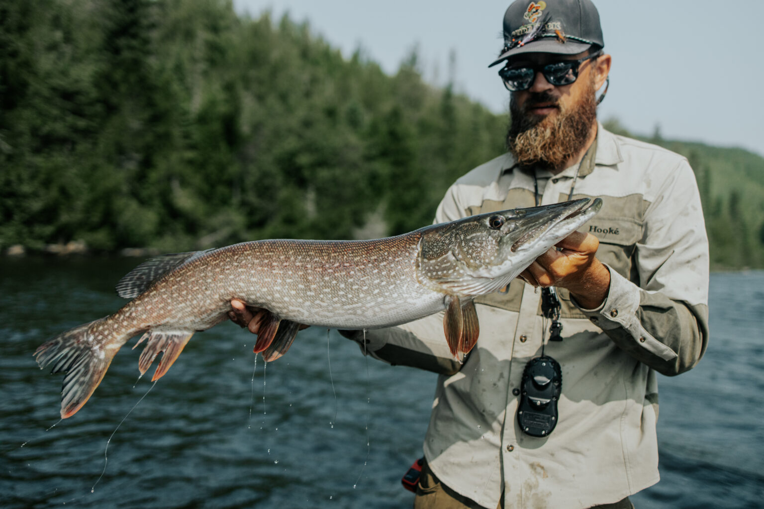 711 | Sight Fishing for Northern Pike with Matt Martin - Smooth River ...