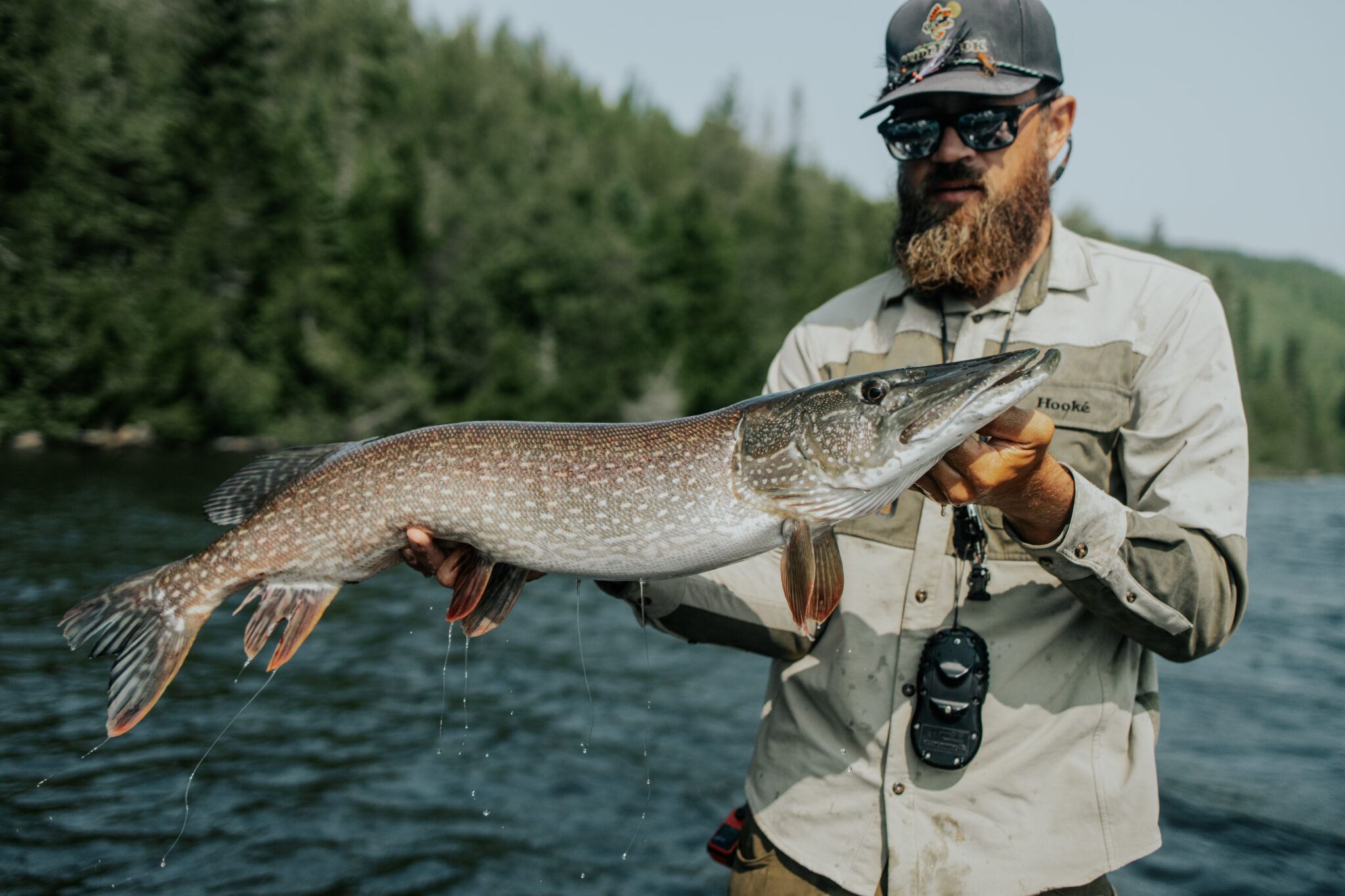 711 | Sight Fishing for Northern Pike with Matt Martin - Smooth River ...
